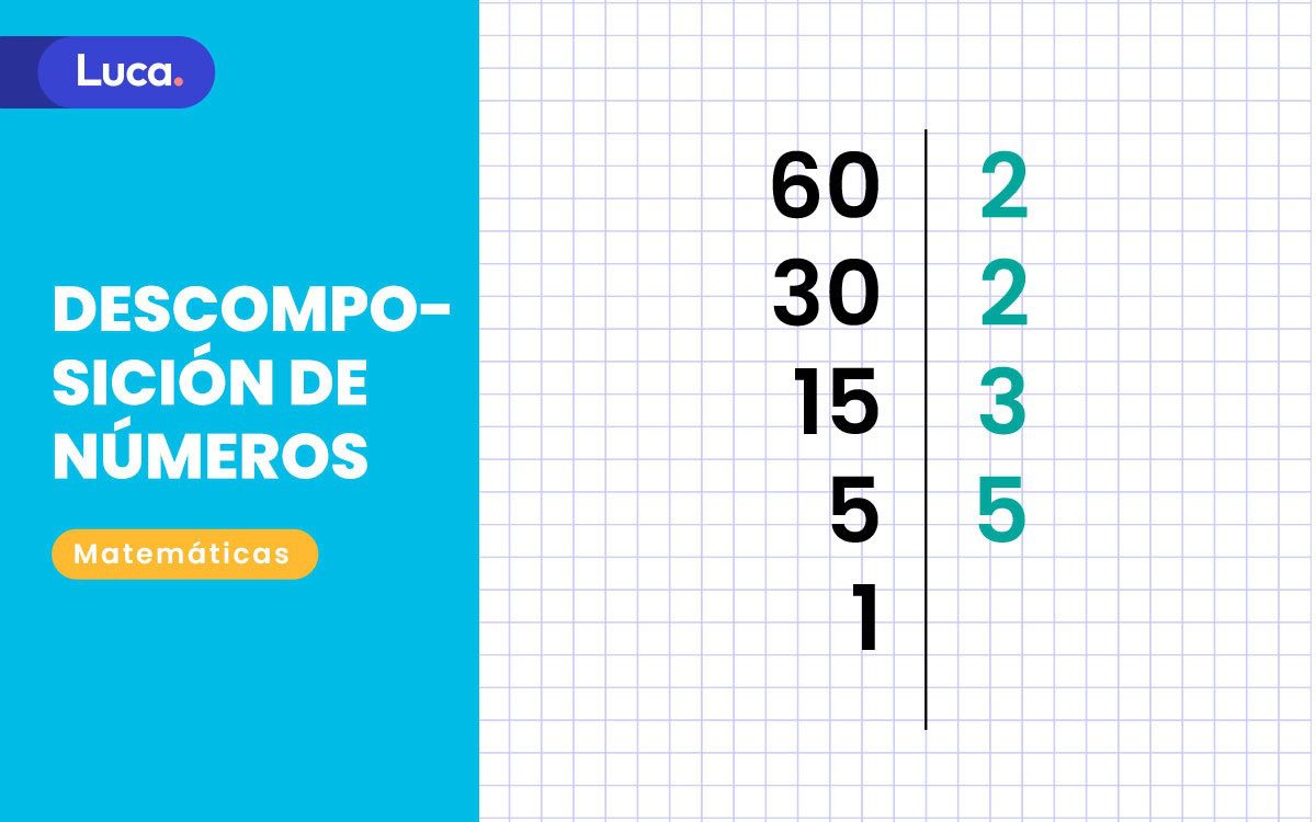 Cómo descomponer números según su valor posicional