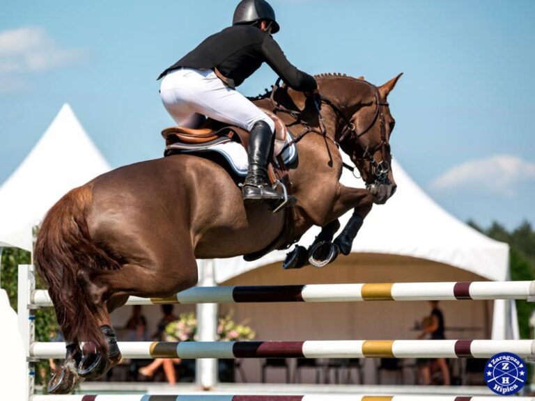 Cuál es el récord mundial de salto a caballo