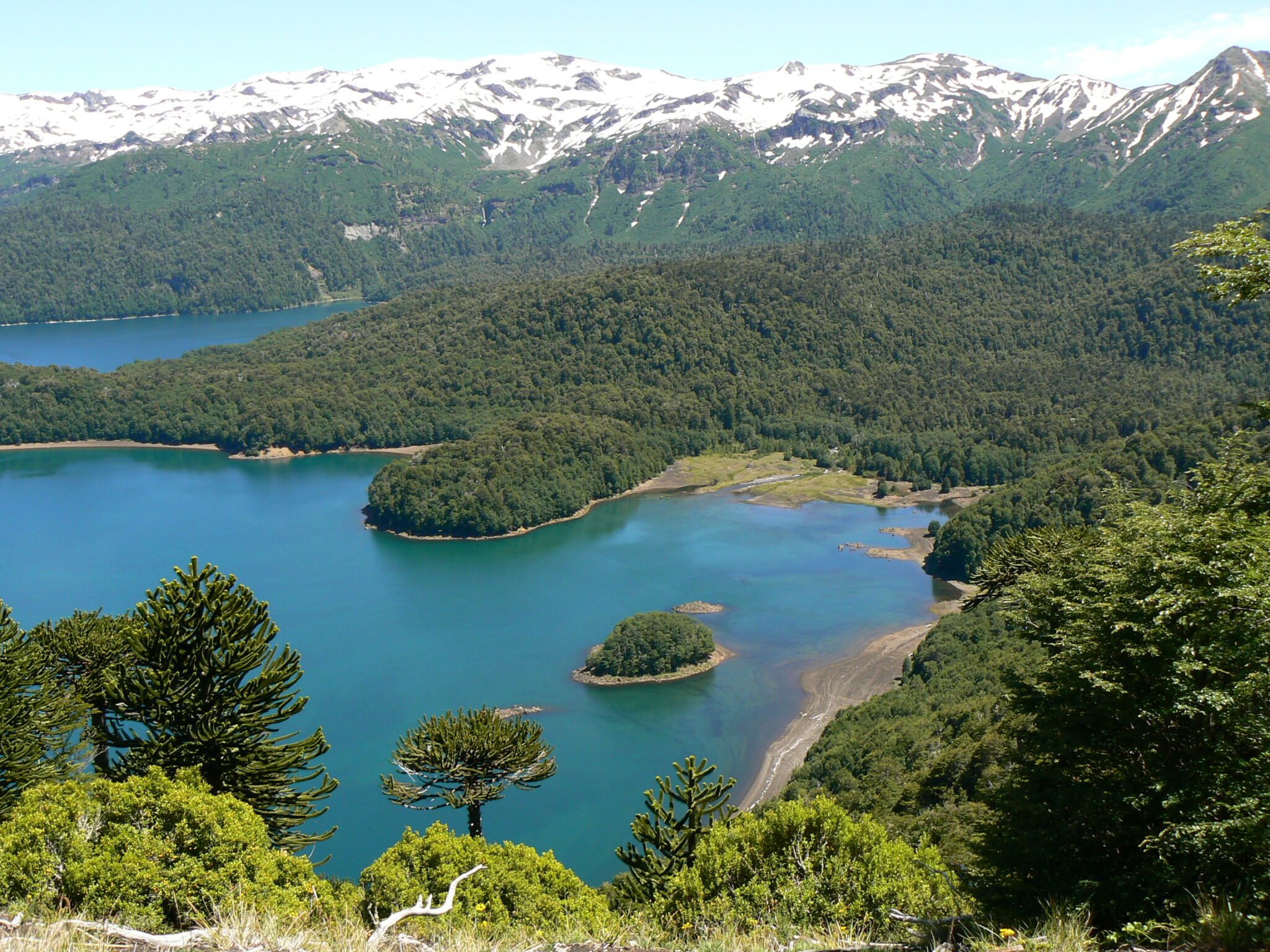 Cómo es el clima en la zona sur de Chile